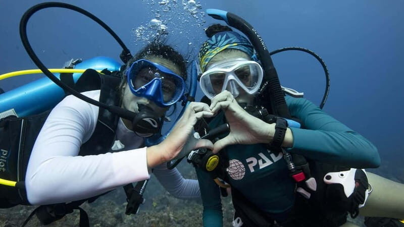 Tenerife: Private Scuba DivingCertified Instructor & Photos - Tenerife: Private Scuba Diving with Certified Instructor & Photos – An Honest Review