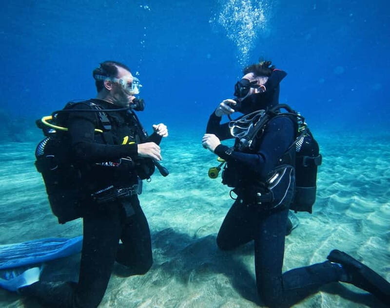 Tenerife: Private Scuba DivingCertified Instructor & Photos - The Itinerary Breakdown: What to Expect
