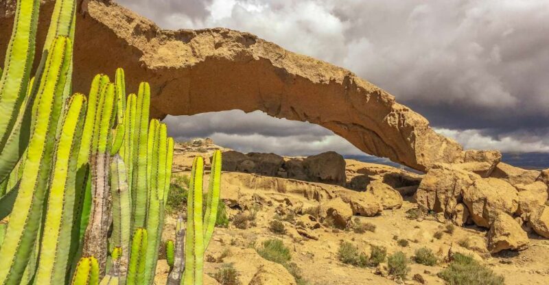 Tenerife Private Tour: Full-Day Volcanic South - Experience Overview: What You Can Expect