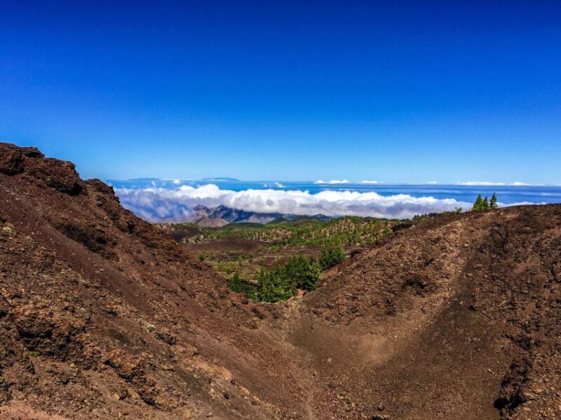 Tenerife Private Tour: Full-Day Volcanic South - What Makes This Tour Stand Out?