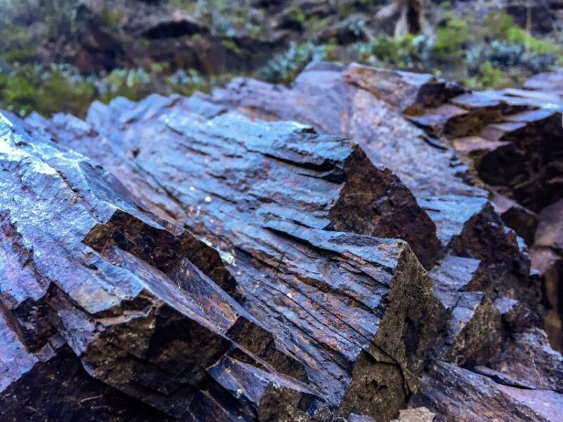 Tenerife Private Tour: Full-Day Volcanic South - Practical Details & Tips