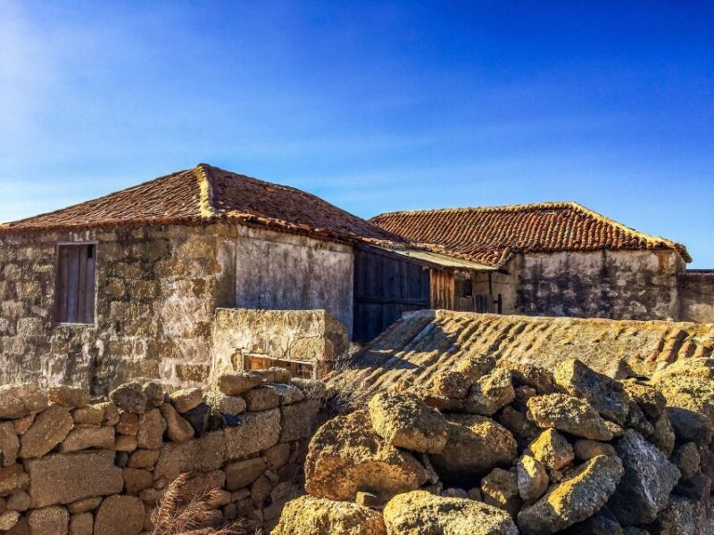 Tenerife Private Tour: Full-Day Volcanic South - The Sum Up: Who Should Consider This Tour?