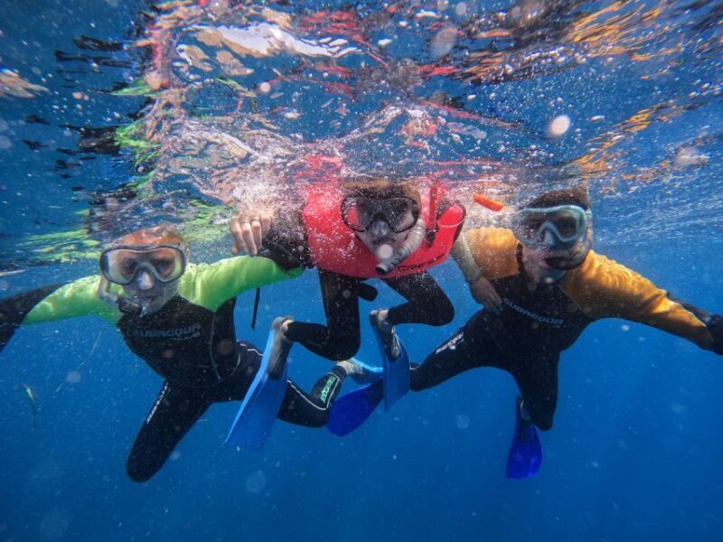 Tenerife: Puerto Colon Snorkel Safari by Speed Boat - Who Will Love This Tour?