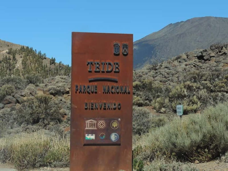Tenerife: Quad Adventure to Mount Teide with Off-Road - Who Will Love This Tour?