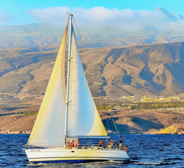 Tenerife: Sailboat Tour Whale Watching Food and Snorkeling - Who Should Consider This Tour?