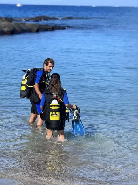 Tenerife: Scuba Dive & Fun, Discover the Magic of the Ocean - Price and Value Analysis