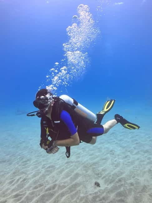 Tenerife: Scuba Dive & Fun, Discover the Magic of the Ocean - Who Should Consider This Tour?