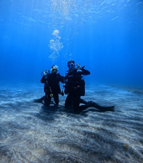 Tenerife: Scuba Diving Experience for Every Level - Who Should Book This Experience?
