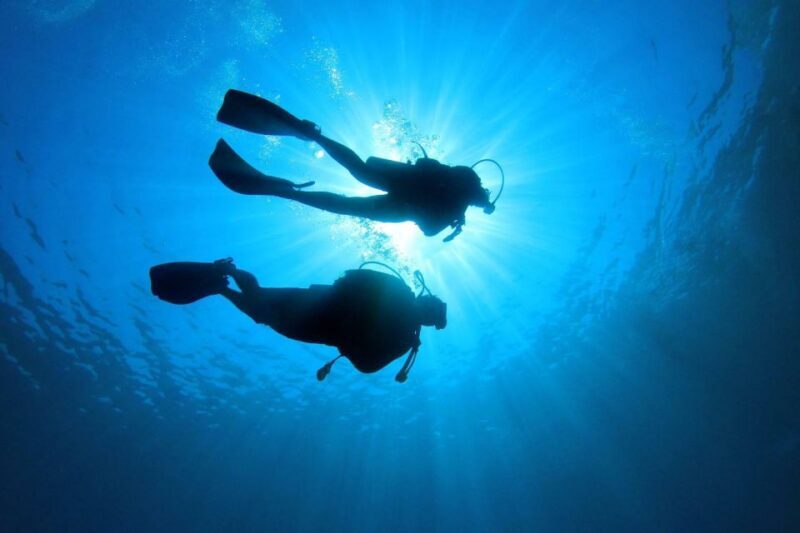 Tenerife: Scuba Diving Experience with Instructor and Gear - The Dive Itself