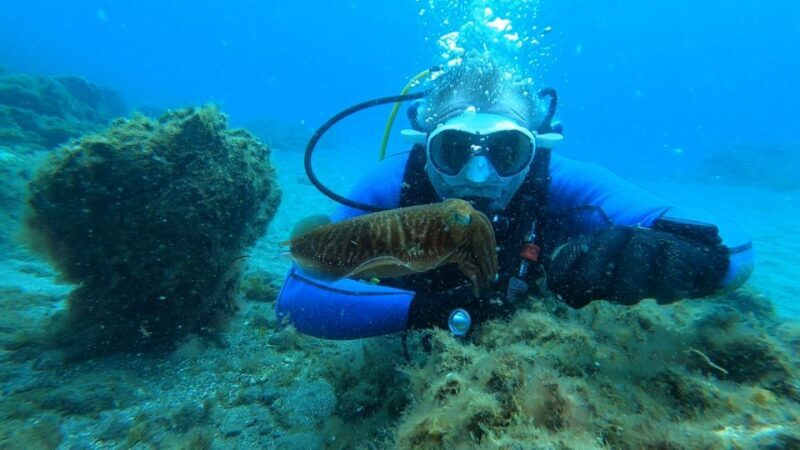 Tenerife: Scuba Diving Lesson and Abades Protected Area Dive - Who This Tour Is Best For