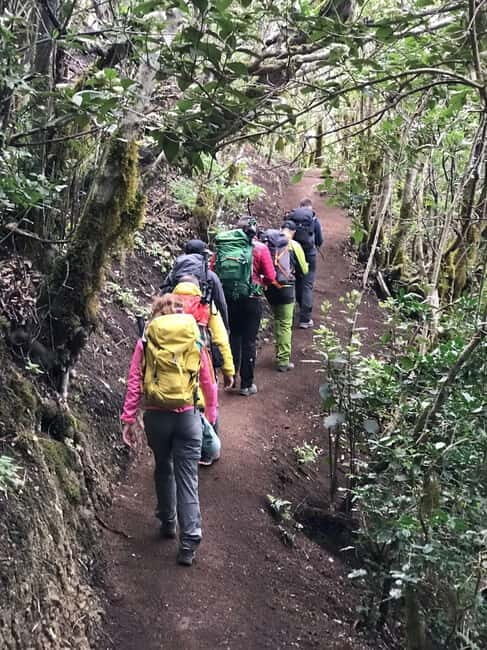 Tenerife: Senderismo Anaga, Bosque Mágico, Reserva Biosfera - Key Points