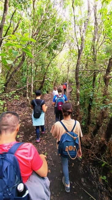 Tenerife: Senderismo Anaga, Bosque Mágico, Reserva Biosfera - Frequently Asked Questions