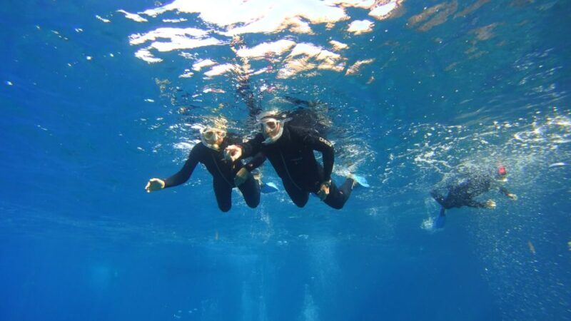 Tenerife: Snorkel with Turtles - Who Will Love This Tour?