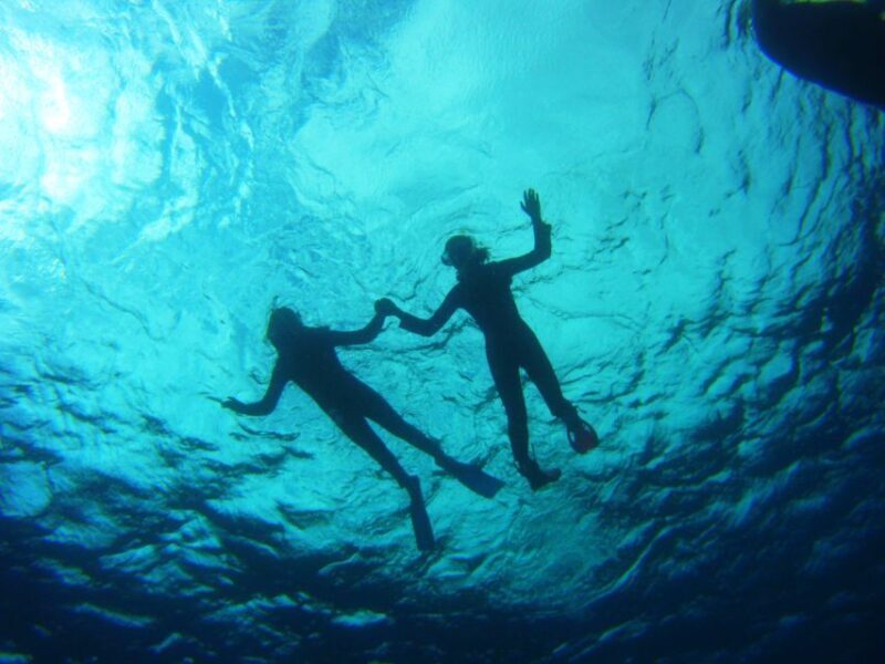 Tenerife: Snorkel with Turtles - Final Thoughts: Authentic Marine Encounters in Tenerife