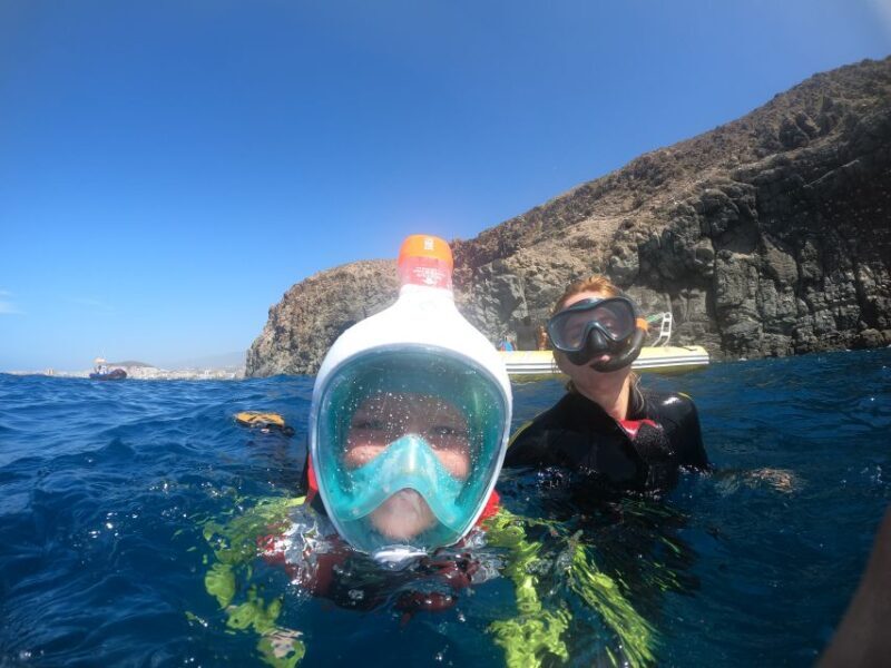 Tenerife Snorkeling boat trip in a Turtle Habitat - The Experience: What to Expect from Start to Finish