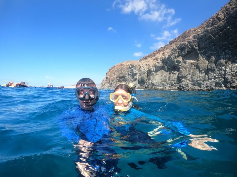 Tenerife Snorkeling boat trip in a Turtle Habitat - Who Is This Tour Best For?