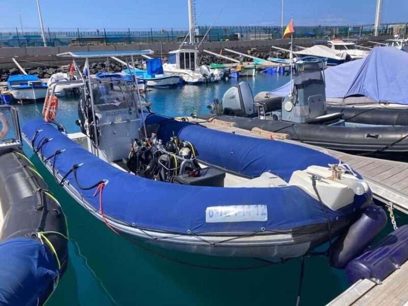 Tenerife: Snorkeling to look for Turtles and Rays - The Itinerary: What to Expect from Start to Finish  