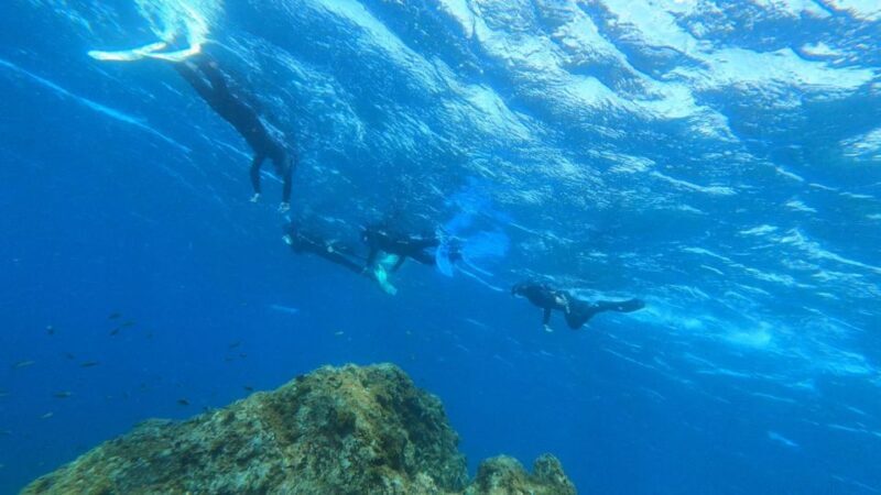 Tenerife: Snorkeling Tour in a Marine Protected Area - FAQ