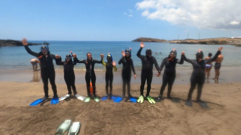 Tenerife: Snorkeling Tour in a Marine Protected Area - In The Sum Up