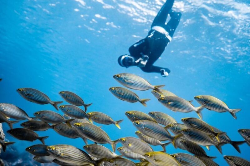 Tenerife : Snorkeling underwater with freediving Instructor - The Water Experience