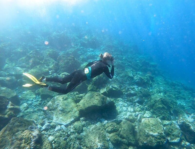 Tenerife : Snorkeling underwater with freediving Instructor - Authenticity and Photography
