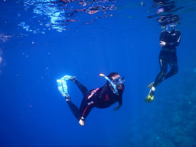 Tenerife : Snorkeling underwater with freediving Instructor - Overall Experience and Value