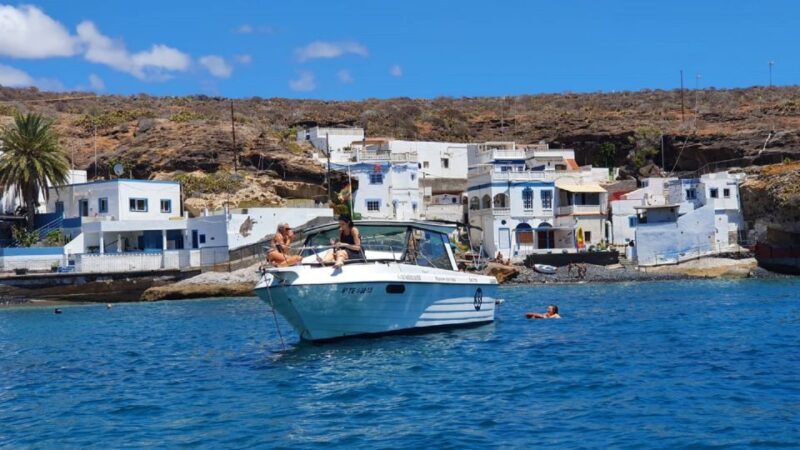 Tenerife: South Island Boat-Trip and Sea Excursion - Pricing and Overall Value