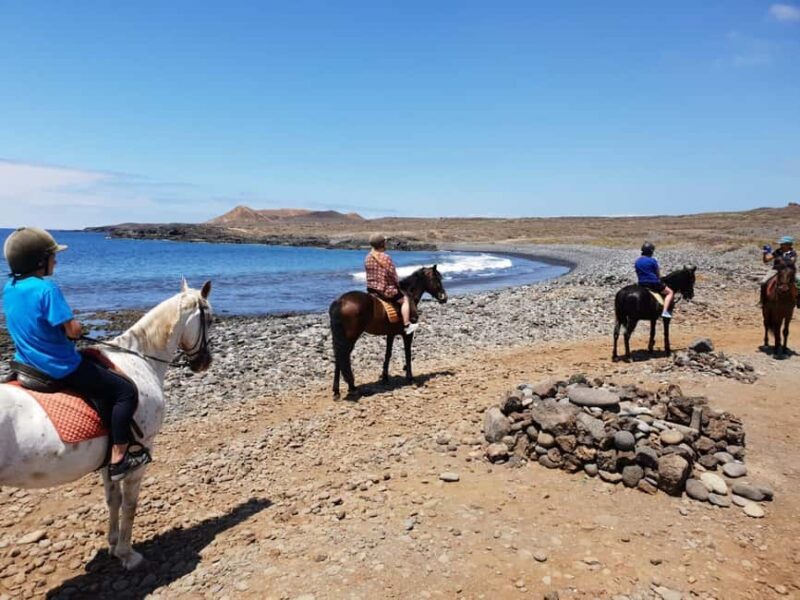 Tenerife South: Private Horseback Ride to the Coast - Key Points
