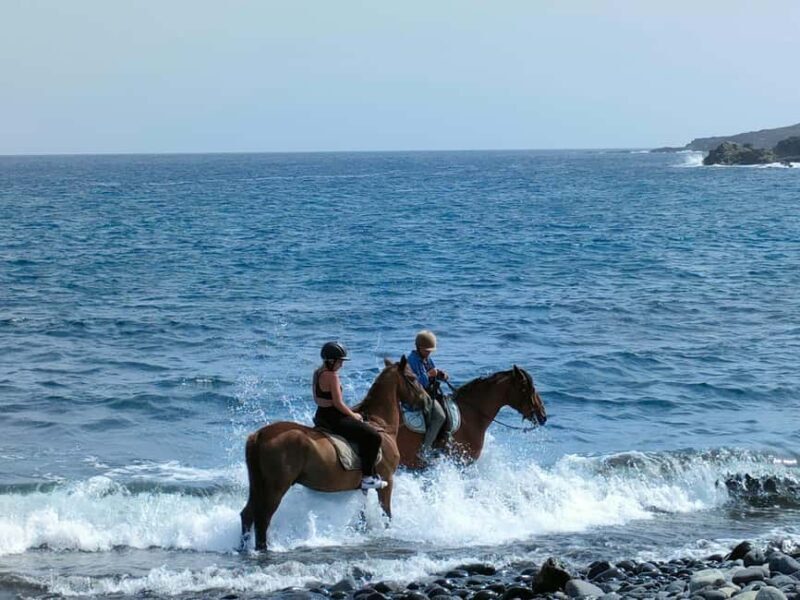 Tenerife South: Private Horseback Ride to the Coast - An in-depth look at what this horseback ride offers