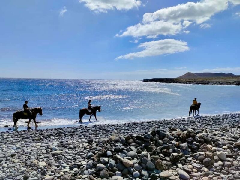 Tenerife South: Private Horseback Ride to the Coast - The Experience Provider and Group Size