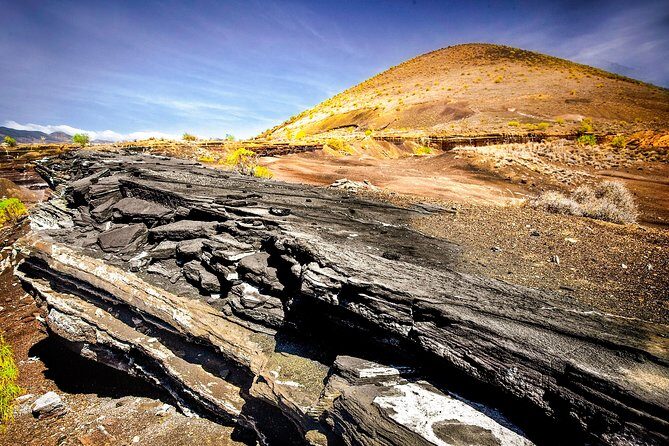 Tenerife South Private Tour: Secrets of the Volcanoes - Key Points