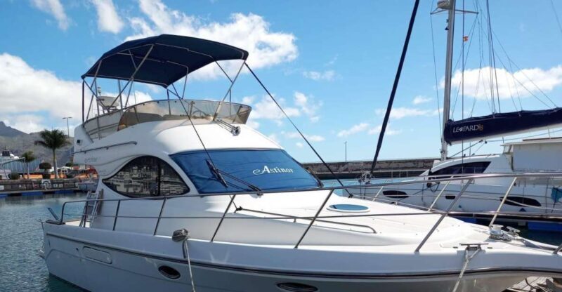 Tenerife south: safari with luxury boat , animals encounters - Key Points