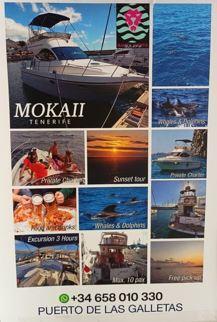 Tenerife south: safari with luxury boat , animals encounters - The Overall Value of the Experience