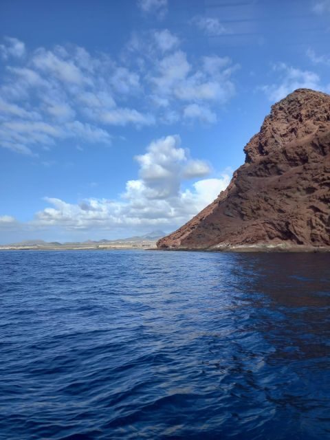 Tenerife south: safari with luxury boat , animals encounters - Final Thoughts