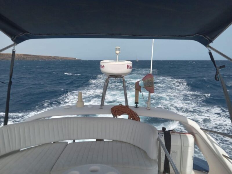 Tenerife south: safari with luxury boat , animals encounters - FAQ