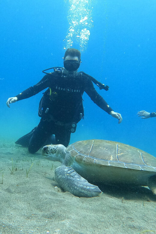 Tenerife south: Scuba Dive for beginners in Adeje - Key Points