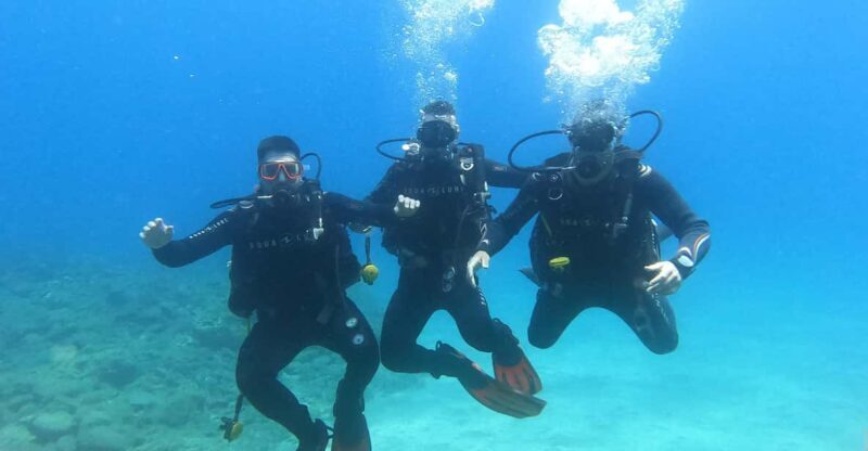 Tenerife south: Scuba Dive for beginners in Adeje - An Honest Look at the Tenerife South Scuba Tour