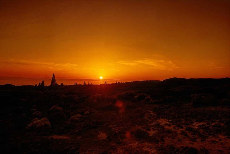 Tenerife: Stargazing at Mt. Teide - Reviews—What Travelers Are Saying