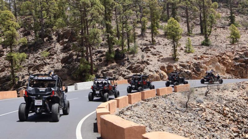 Tenerife: Sunset - 3H Buggy tour of Teide - Final Thoughts