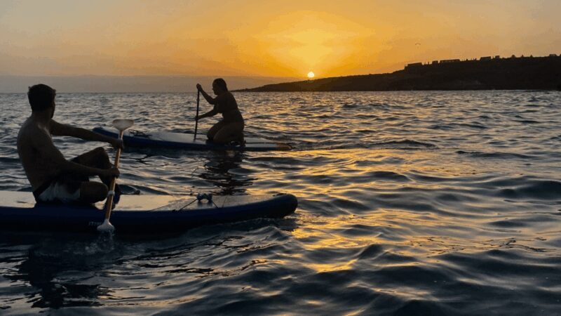 Tenerife: Sunset Stand-Up Paddleboarding Tour - Practical Tips for Making the Most of the Tour