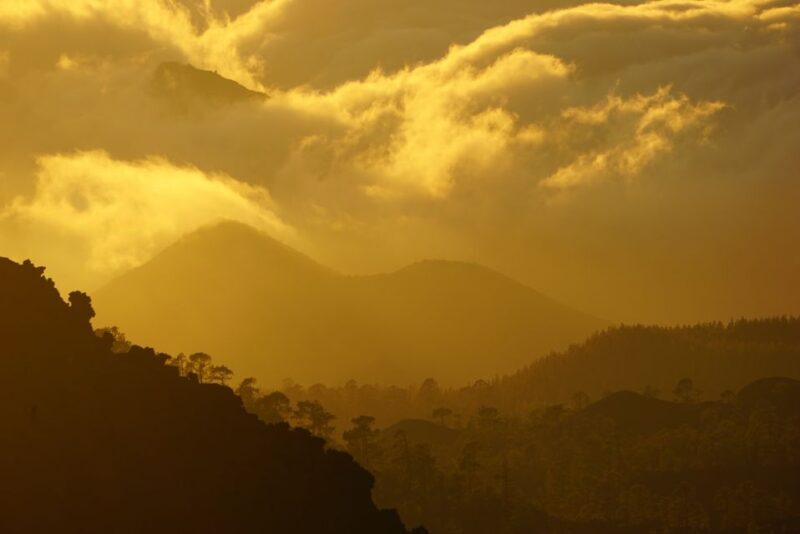 Tenerife: Sunset Teide National Park & Photos - What’s Inside the Tour: A Deep Dive