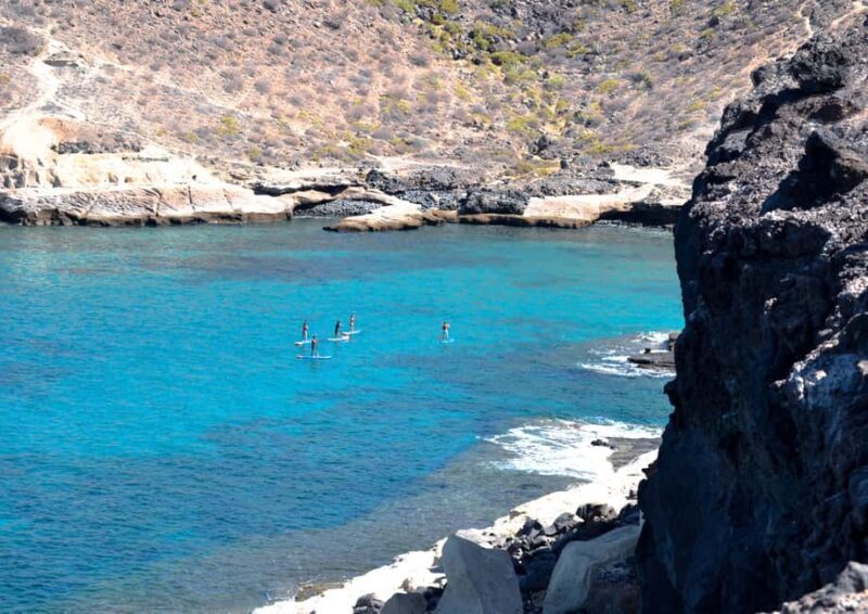 TENERIFE SUR | unforgettable SUP - SNORKELING EXPERIENCE - An Honest Look at Tenerife Sur’s SUP & Snorkeling Experience