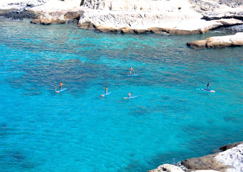 TENERIFE SUR | unforgettable SUP - SNORKELING EXPERIENCE - Why This Tour Is a Great Choice