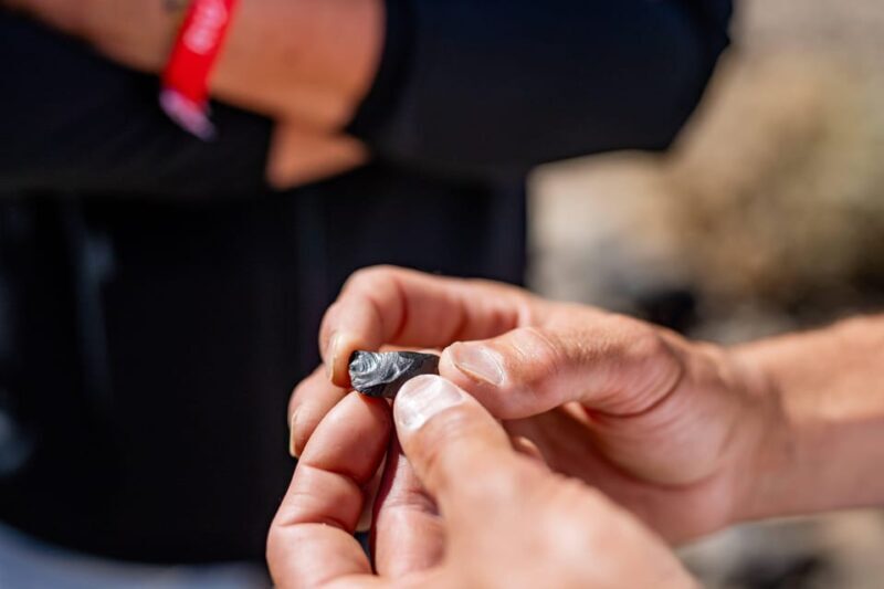 Tenerife : Teide Hiking - An In-Depth Look at the Tenerife Teide Hiking Experience