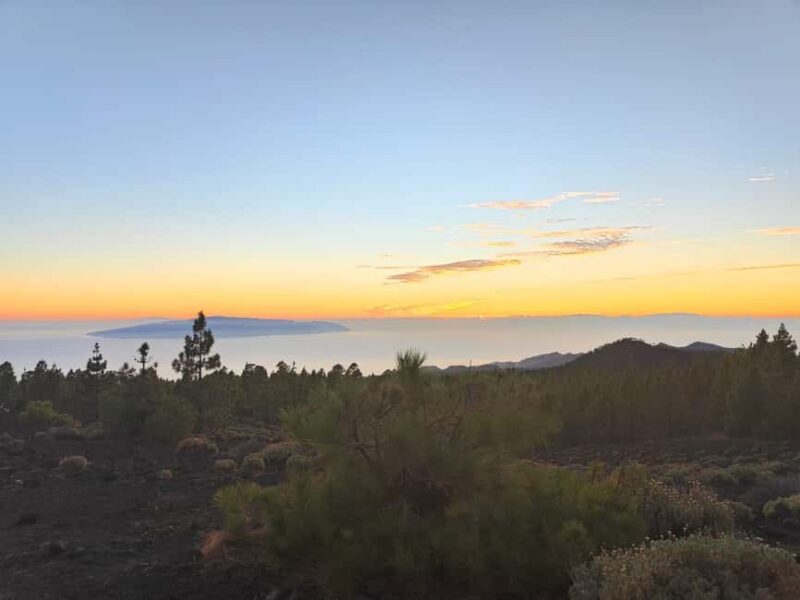 Tenerife: Teide, Masca and Los Gigantes Cliffs Tour - Value for Money and Overall Experience