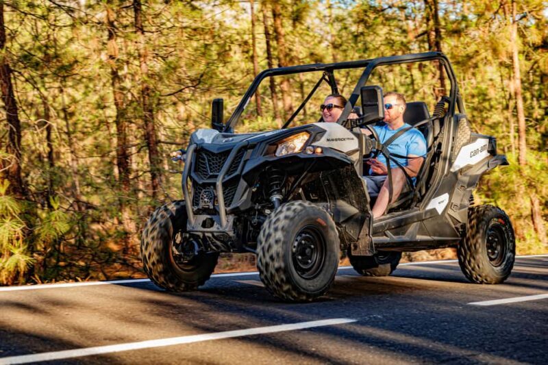 Tenerife: Teide Mountain Buggy On-Road GuidedTour with drink - An Adventure into Tenerife’s Natural Beauty