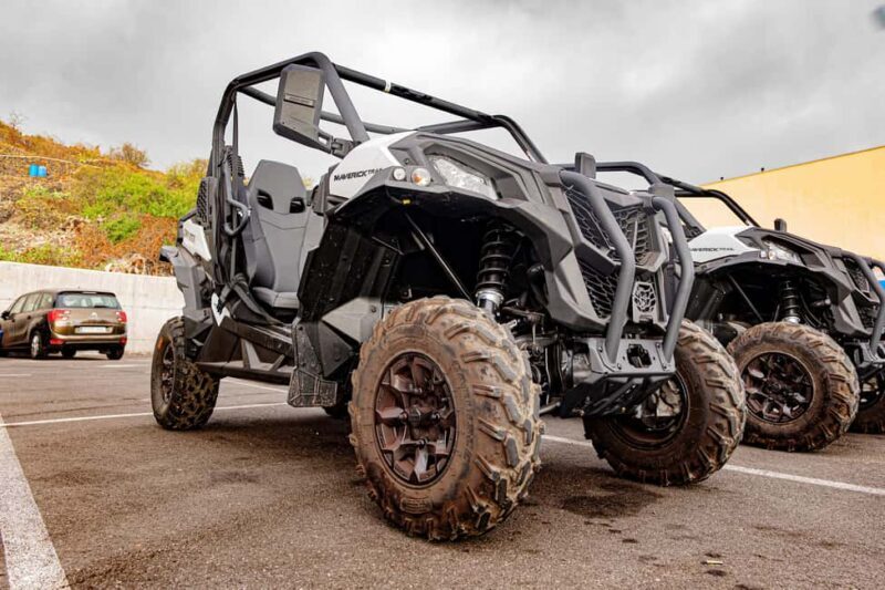 Tenerife: Teide Mountain Buggy On-Road GuidedTour with drink - The Practicalities: What’s Included and What’s Not