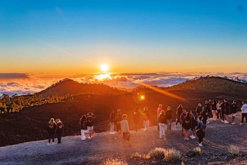 Tenerife: Teide Mountain On-Road Guided Quad Tour with drink - Introduction: A Scenic Journey with a Twist