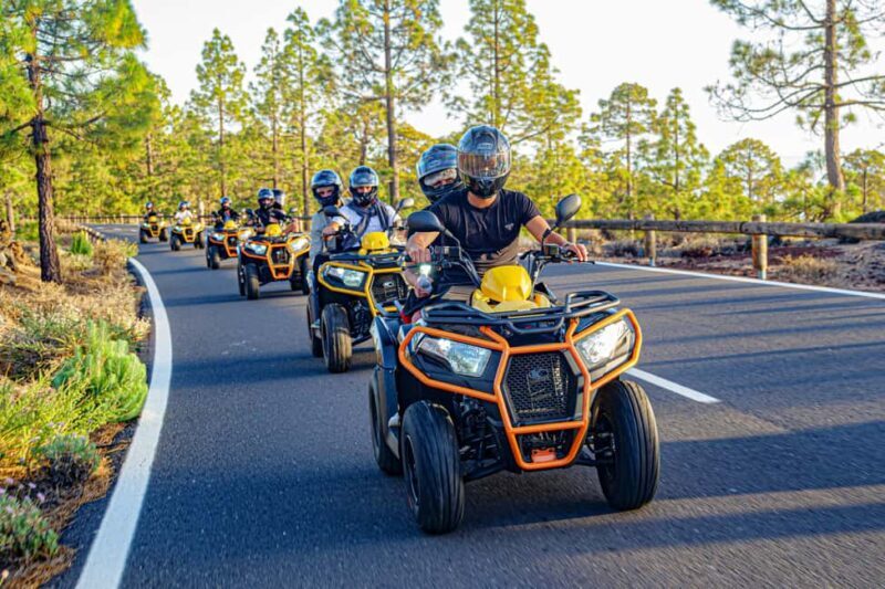 Tenerife: Teide Mountain On-Road Guided Quad Tour with drink - Who Will Love This Tour?