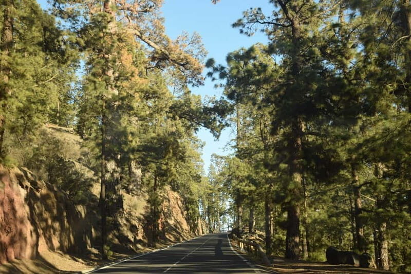 Tenerife: Teide National Park Sunset Quad Tour - Final Thoughts